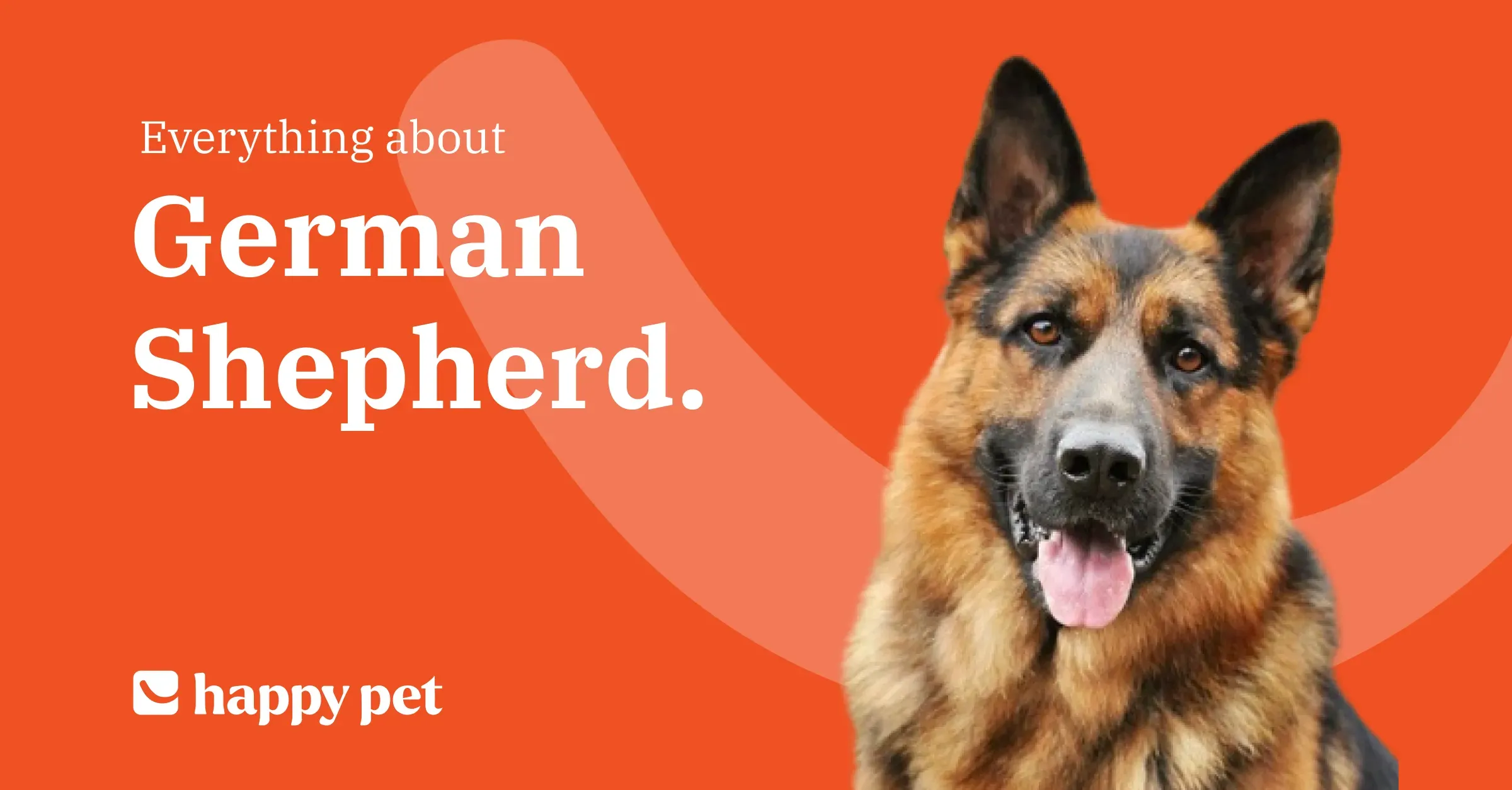 German Shepherd Dog Breed Information | Price, Traits & Care