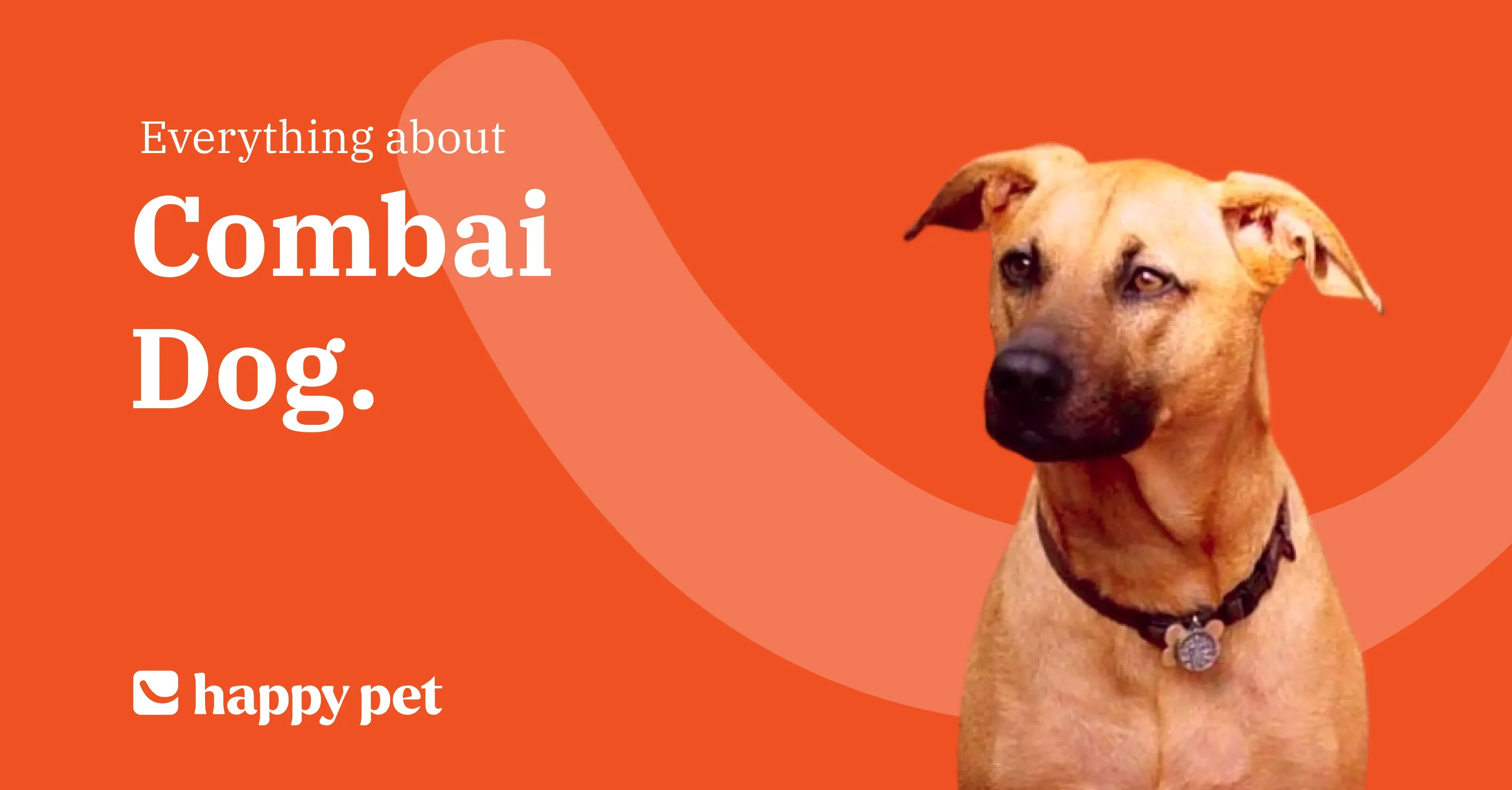 Kombai Dog Breed Guide: Temperament, Diet, and Care