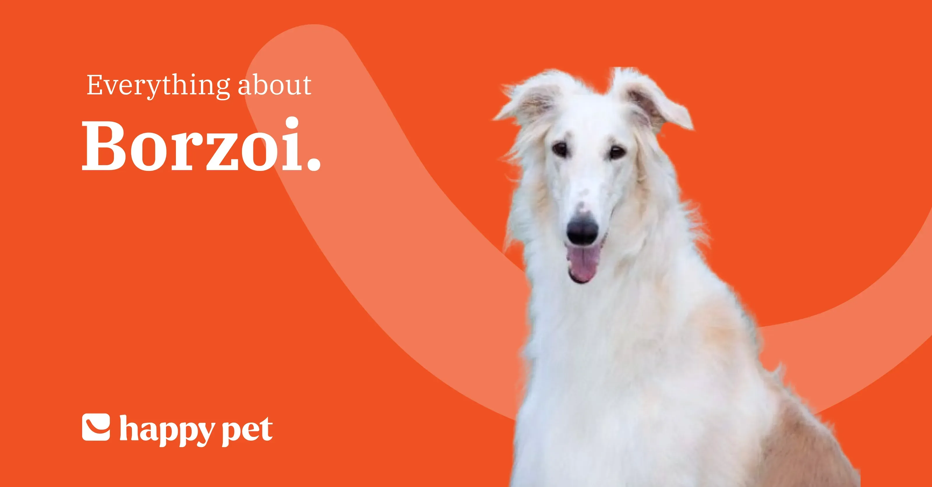Borzoi Dog Breed Guide: Temperament, Diet, and Care