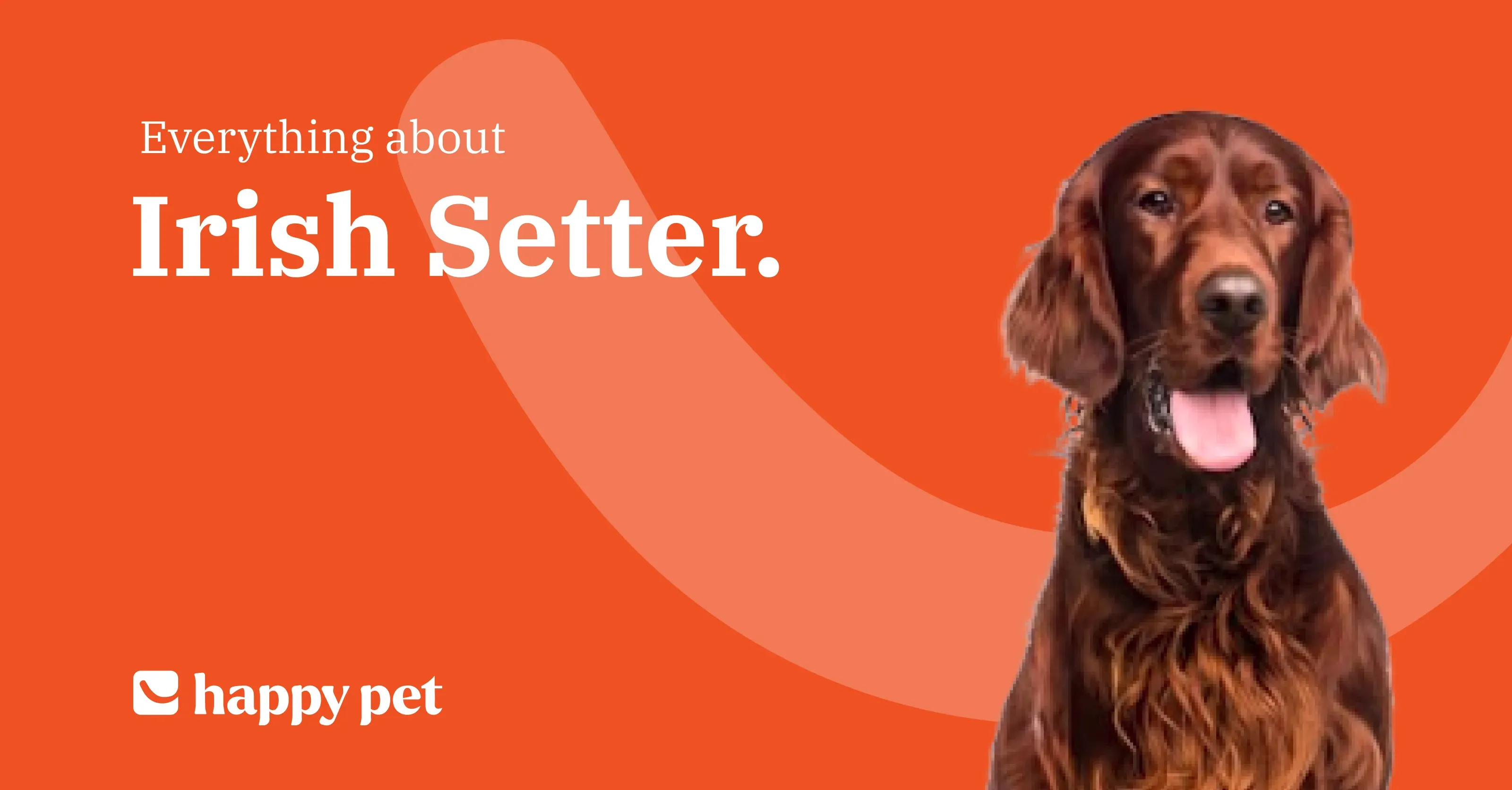 Irish Setter Dog Breed Guide: Temperament, Diet, and Care