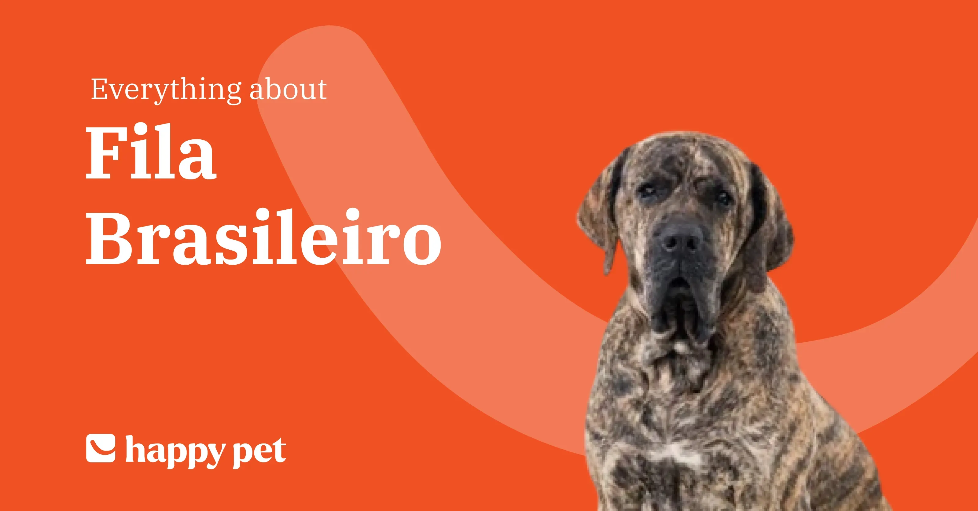 Fila Brasileiro Dog Breed Guide: History, Diet, and Care