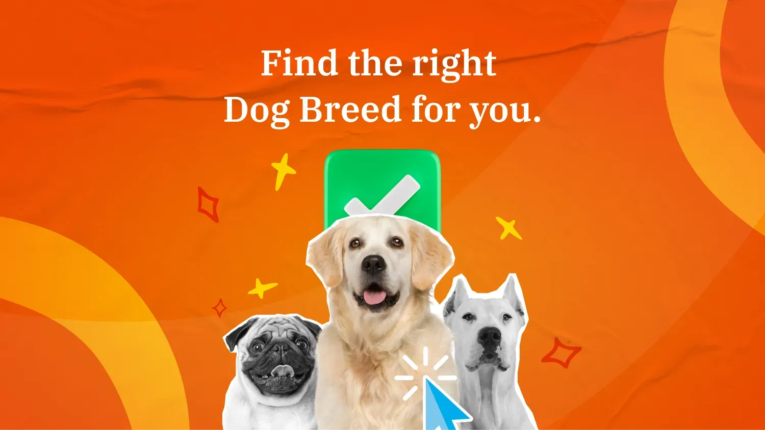 Which Dog Should I Get? Happy Pet's Breed Selector Helps!